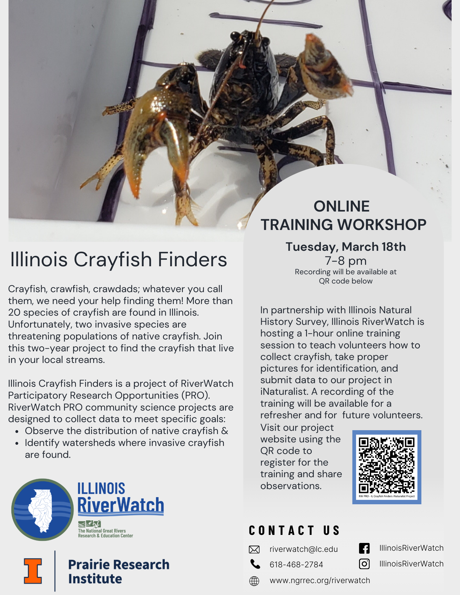 Illinois Crayfish Finders Online Training
